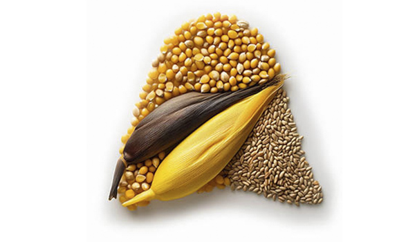 AMBAU AGRIBUSINES JUNIN