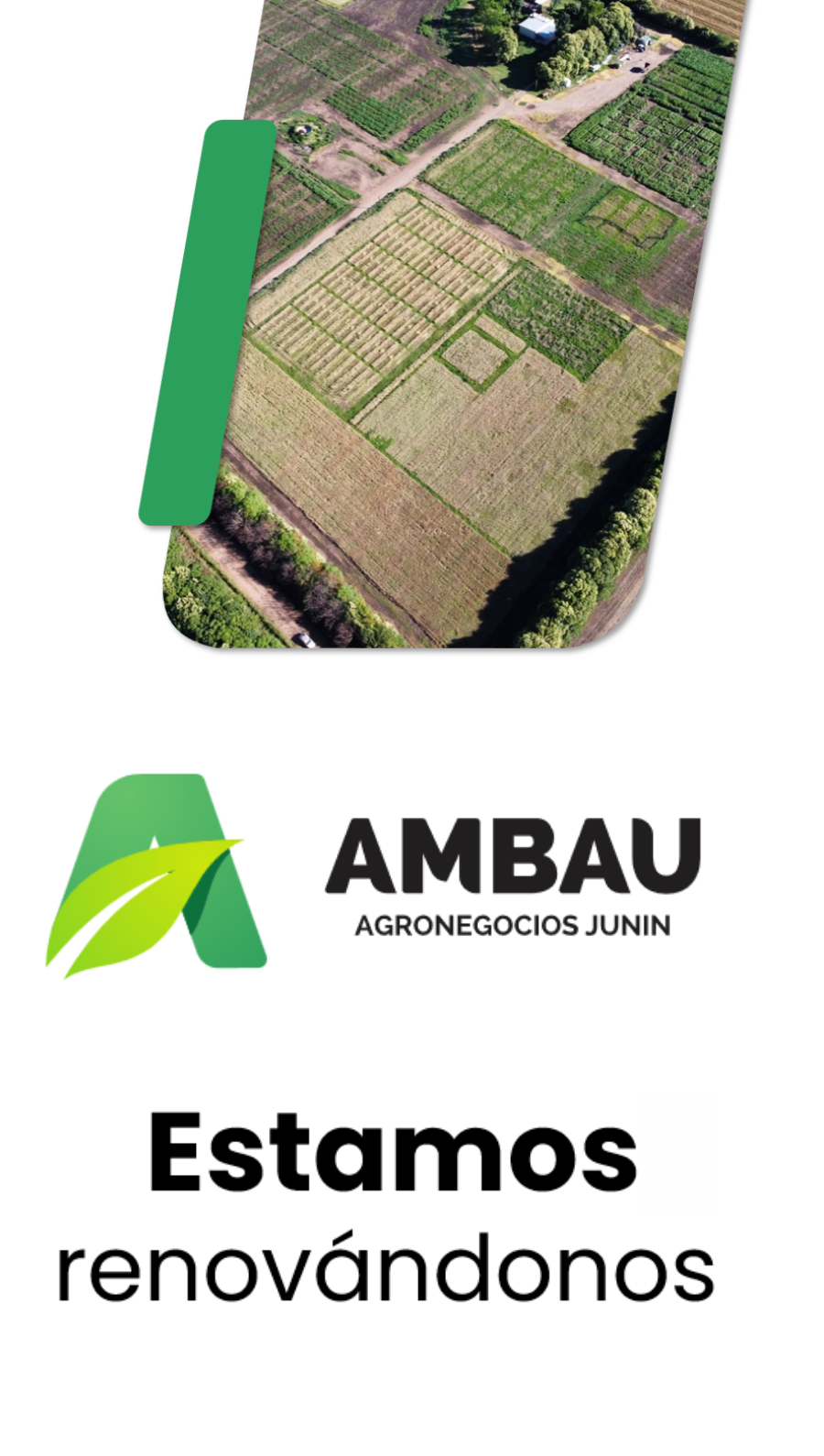 AMBAU AGRONEGOCIOS JUNIN